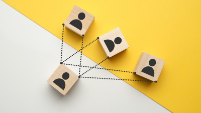 What is LR & SIEF Management in Chemical Regulation?